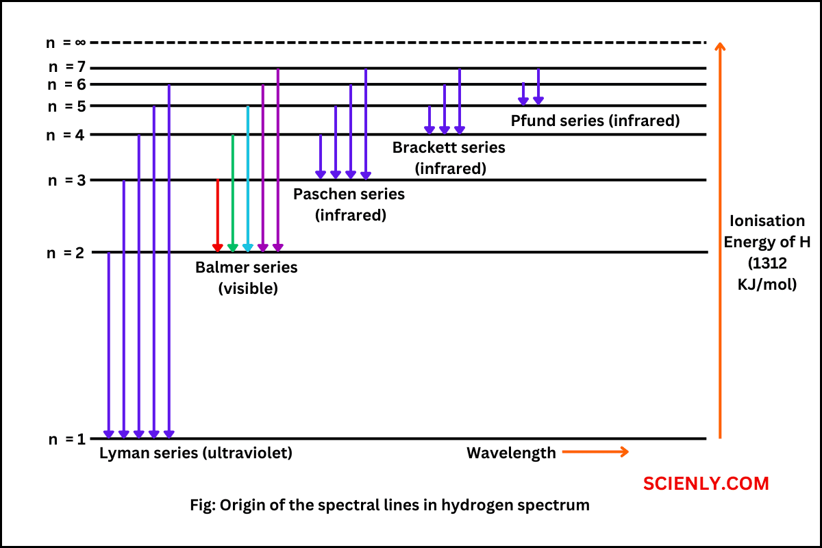 Hydrogen Spectrum: Lyman, Balmer, Paschen, Brackett - Scienly